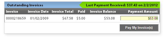 Online Payment Help